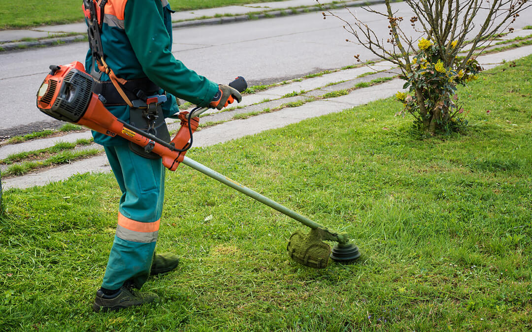 Man-working-on-H2-visa - Equitable Growth